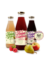 Eigen fruit persen | Schulp Vruchtensappen