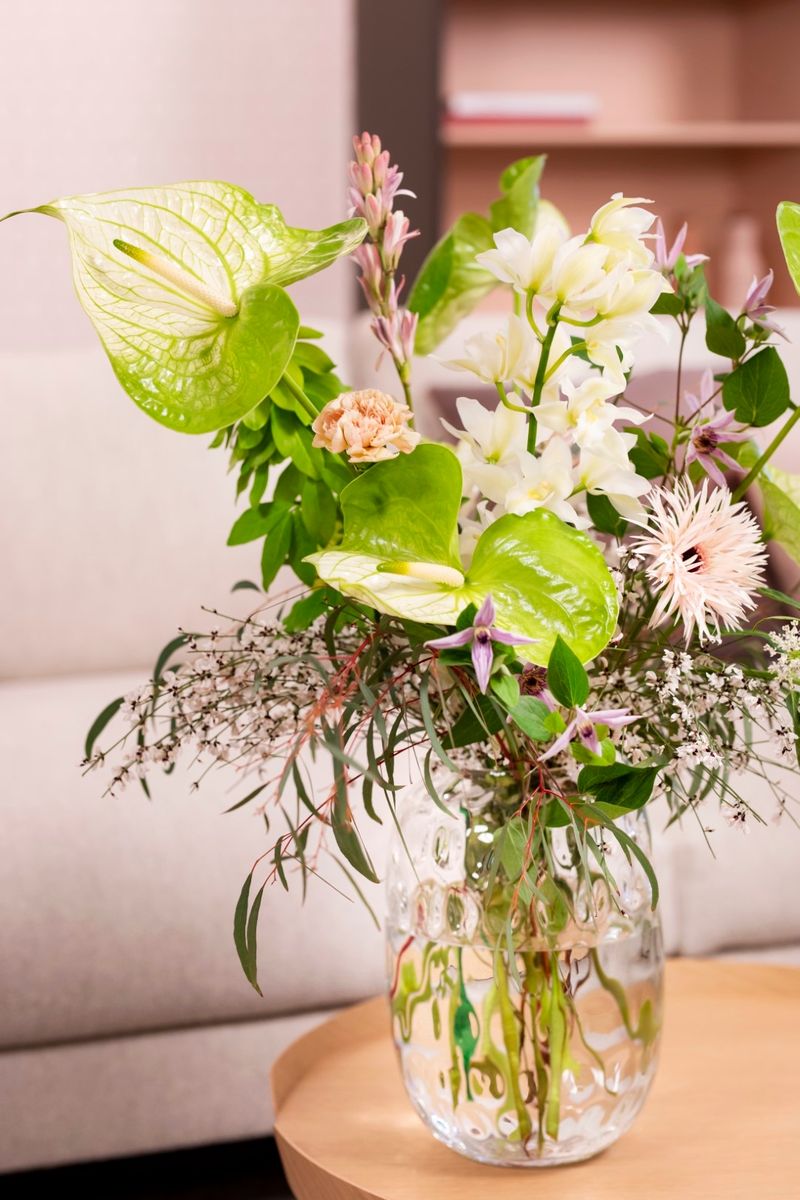 Extase® - Anthurium cut flowers | Anthura