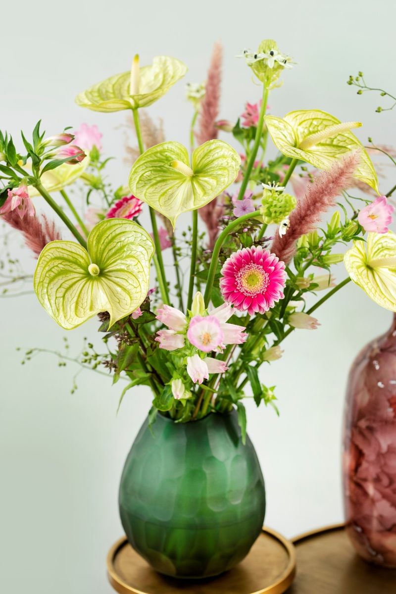 Extase® - Anthurium cut flowers | Anthura