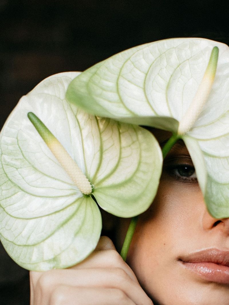 Extase® - Anthurium cut flowers | Anthura