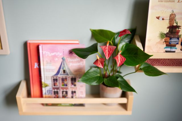 Livium® Red Micro - Anthurium pot plants | Anthura